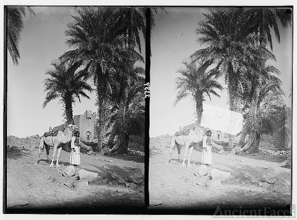 El-Azrak & Wadi Sirhan in the Arabian desert. Druse...