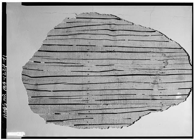 11. DETAIL VIEW RANDOM SPLIT LATH, CEILING OF SOUTH...