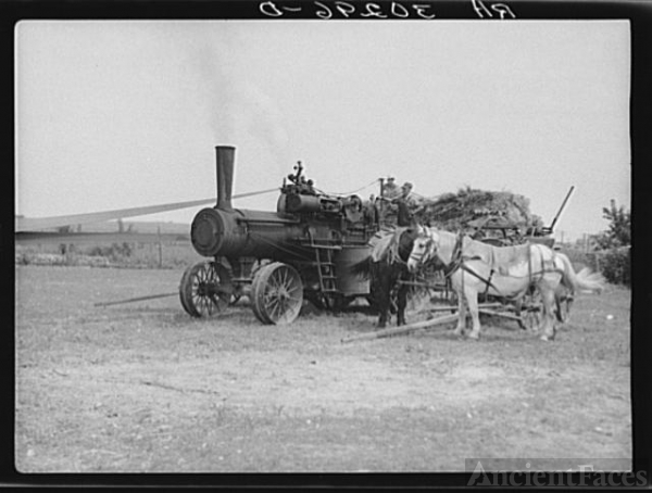 Steam-operated threshing machine near Kewanee, Illinois