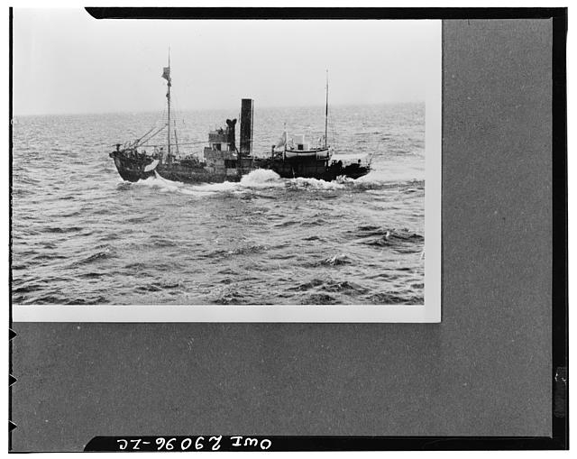 Killer boat used in whaling. The "killer boat" shown here...