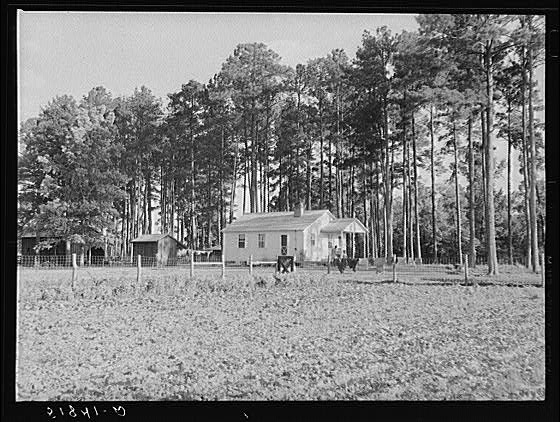 Jesse Sutton's house in the pines with garden in...