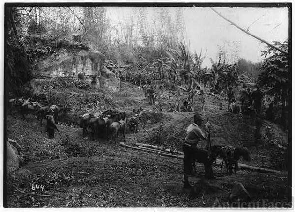 The Philippine insurrection, 1899